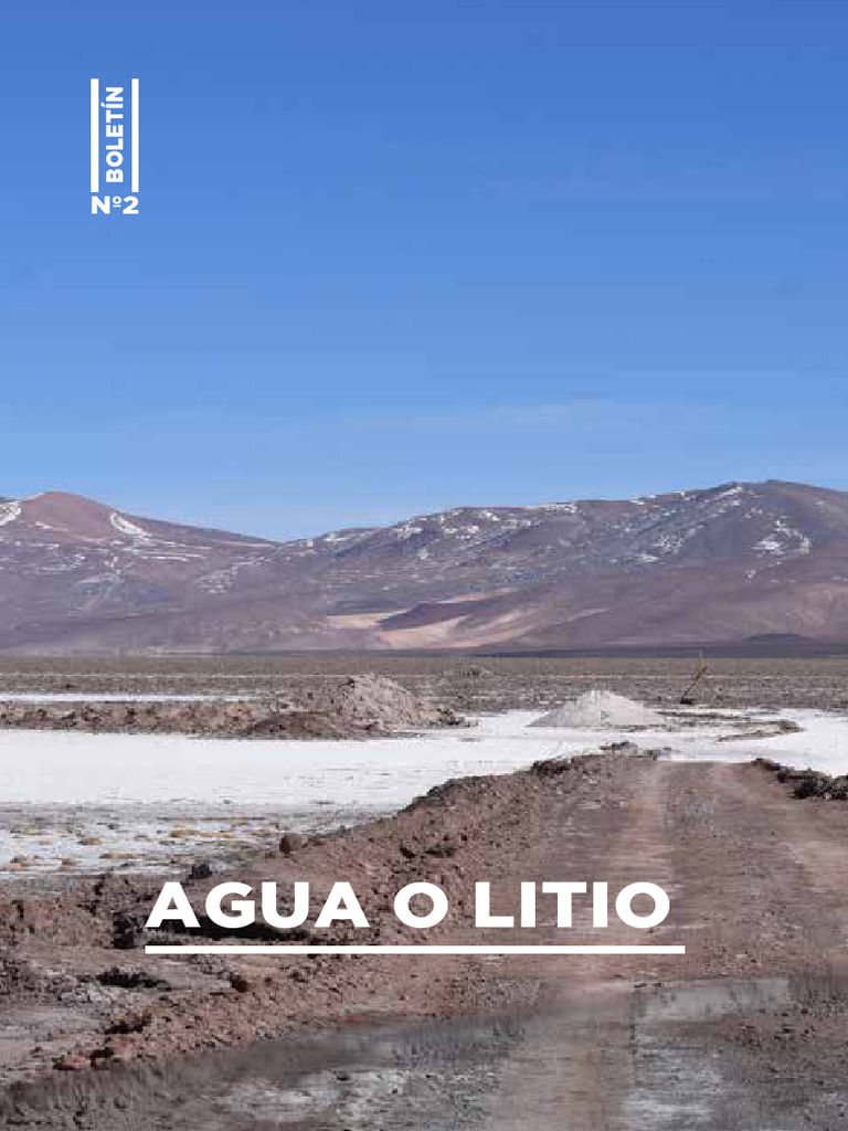 Minería de Litio y Escasez de Agua | PDF | Minería | Agua