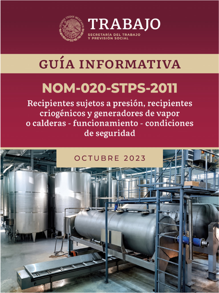 Guia Informativa Nom-020 | PDF | Tecnología