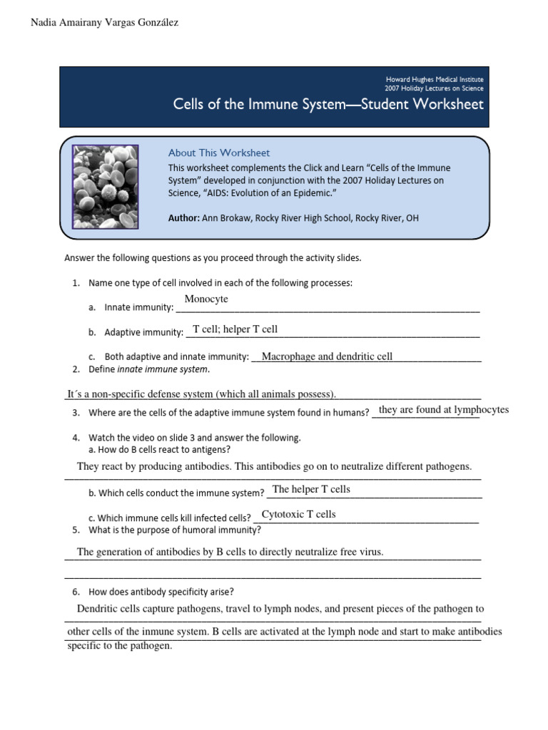 Cells Immune System Worksheet | PDF | Immune System | Adaptive Immune ...