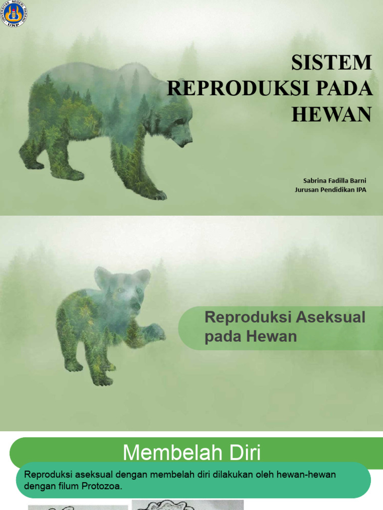 Sistem Reproduksi Hewan | PDF