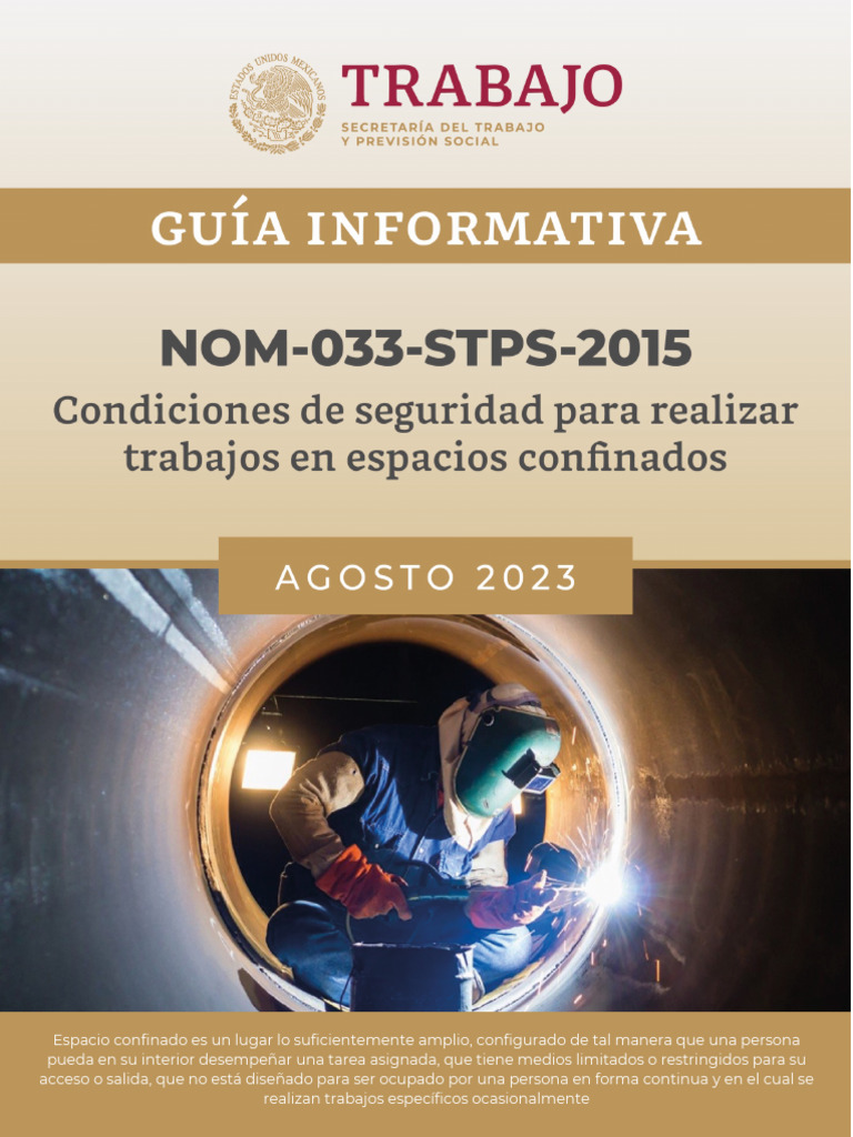 Guia Informativa Nom-033 Version Final 1 | PDF | Valores