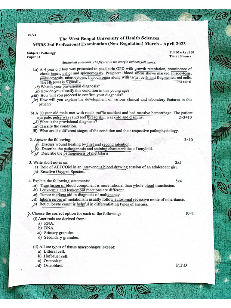 2nd Proff 2023 | PDF