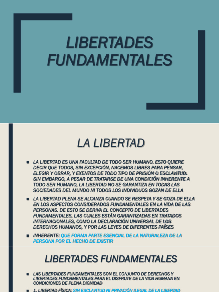 Libertades Fundamentales y Derechos Humanos | PDF | Libertad ...