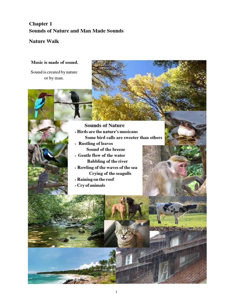 Nature and Man Made Sound | PDF