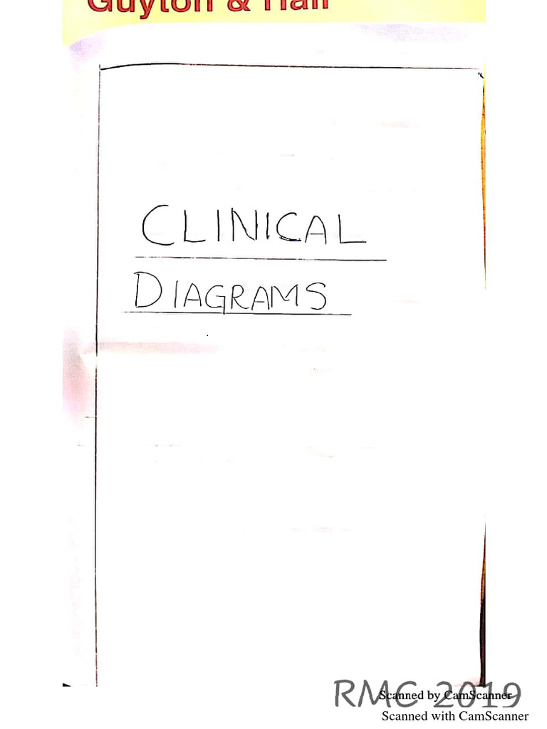 Physiology Clinical Diagrams | PDF