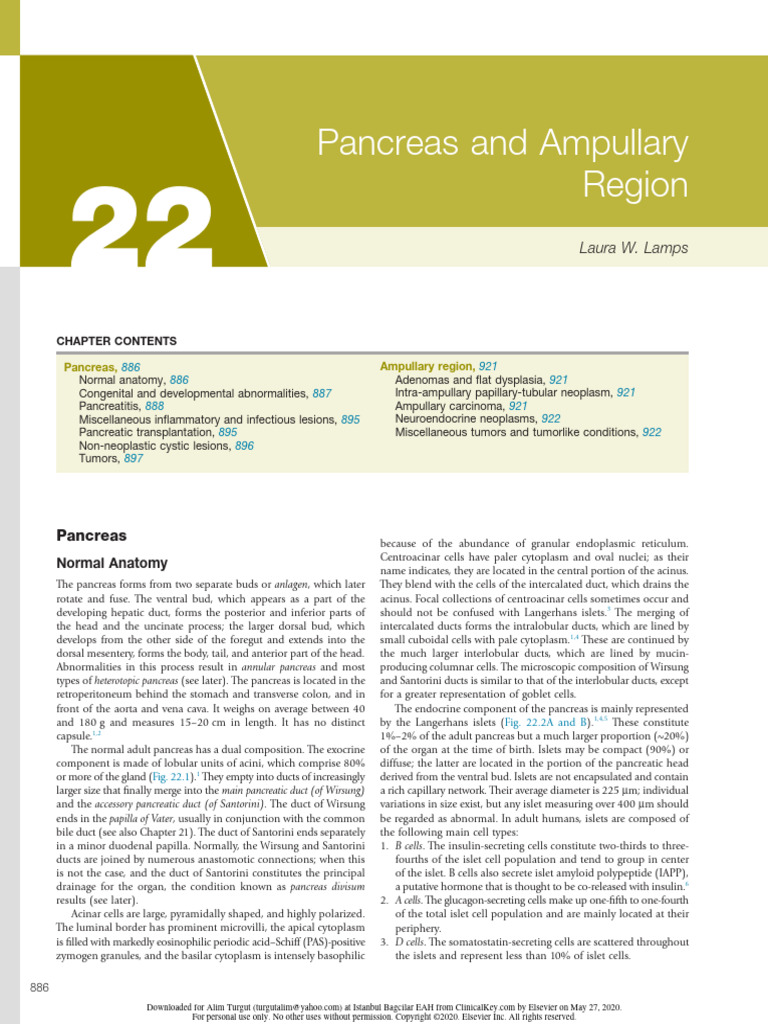 Pancreas and Ampullary Region | PDF | Pancreas | Medical Specialties