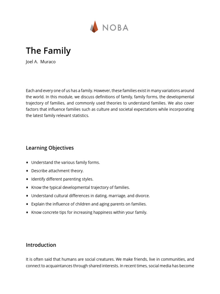 The Family | PDF | Attachment Theory | Domestic Violence