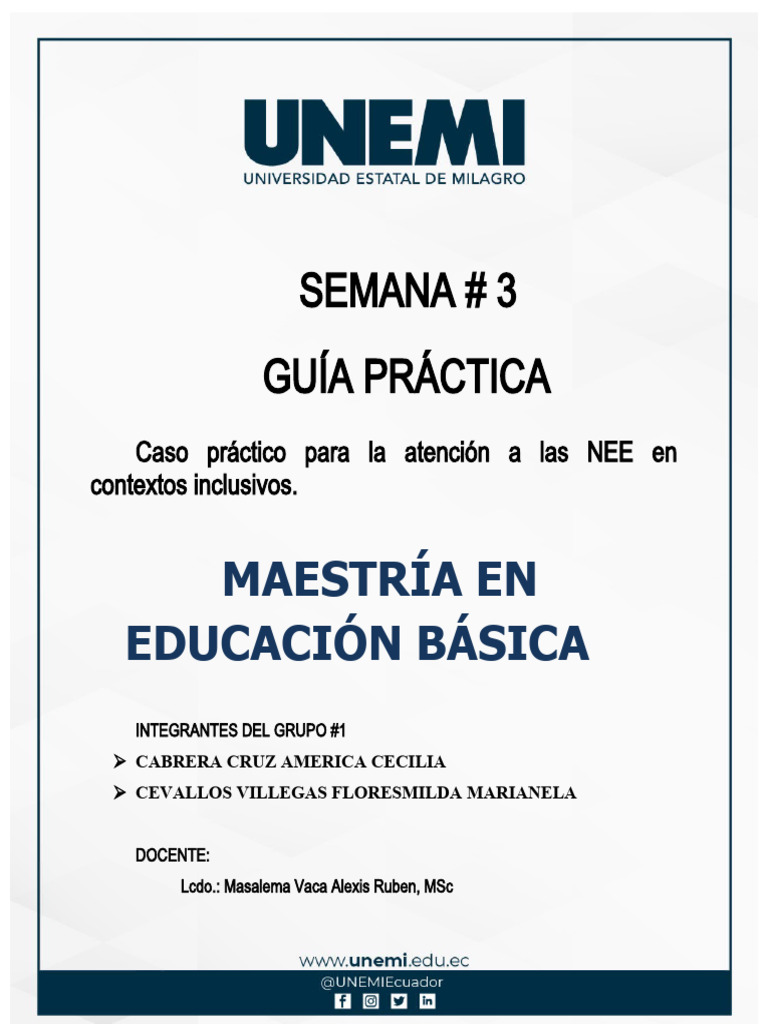 S3 - Formato UNEMI - GUIA PRACTICA - NEE | PDF | Dislexia | Invalidez