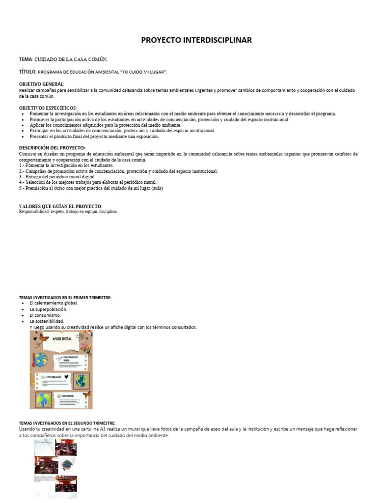 Proyecto Interdisciplinar | PDF