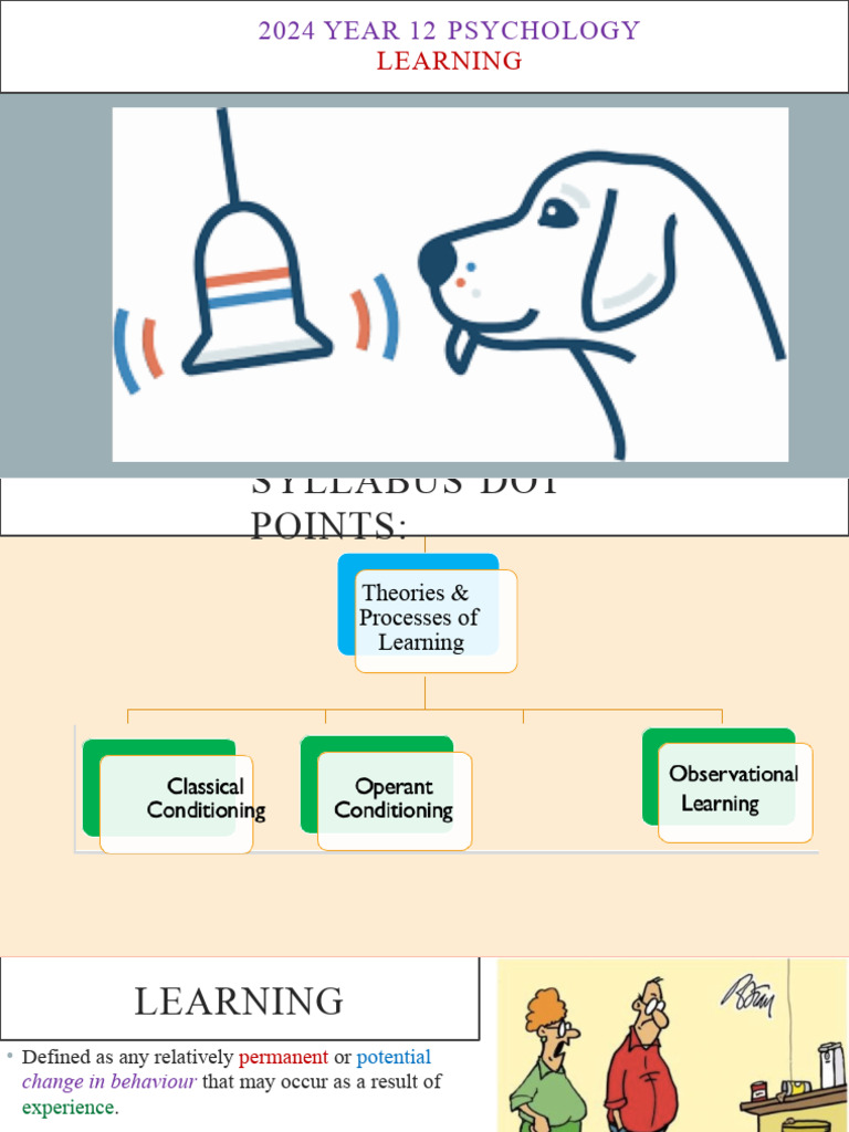 2024 Classical Conditioning STUDENT | PDF | Classical Conditioning | Learning