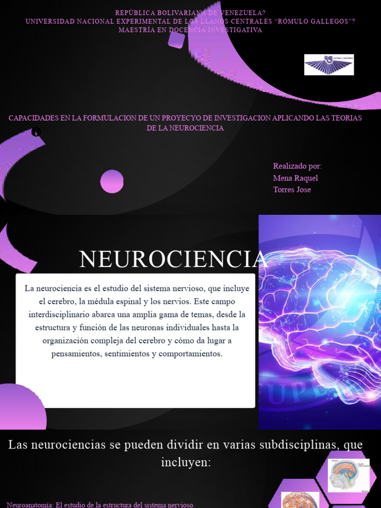 Exposicion Final | PDF | Neurociencia | Cerebro