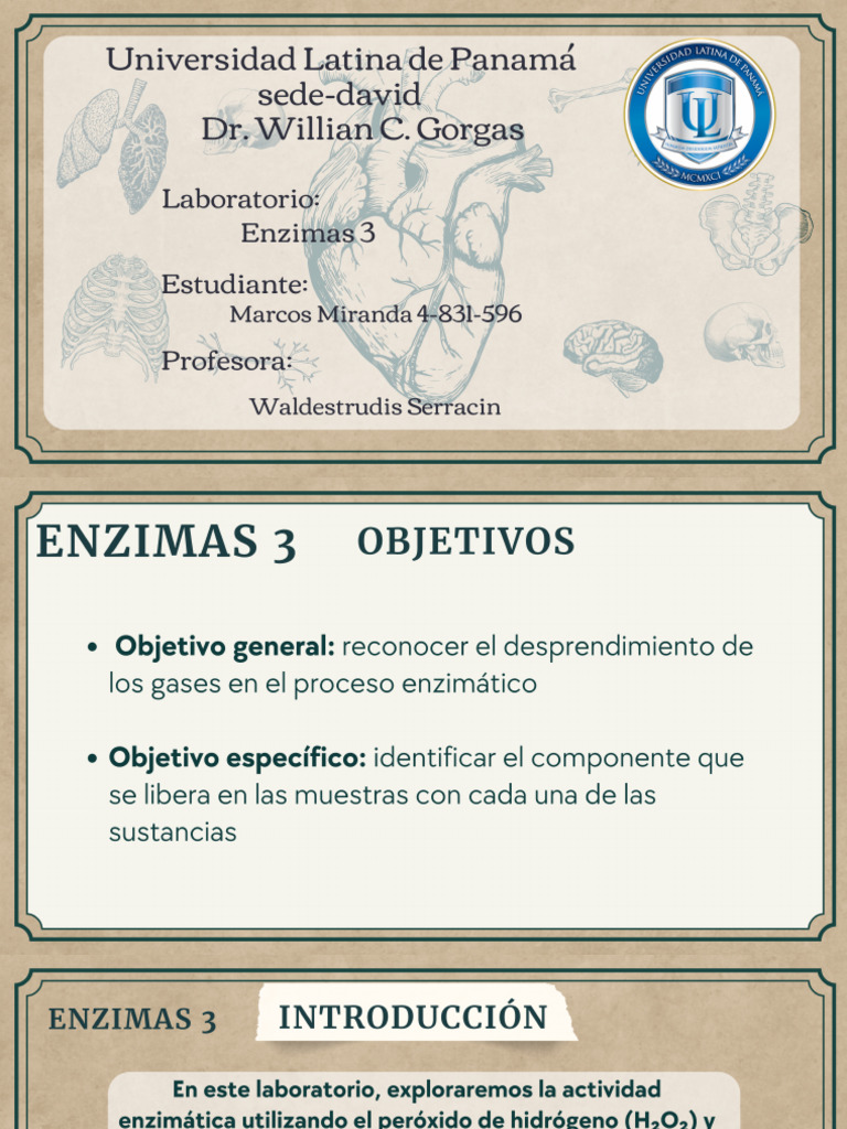 Enzimas 3 Presentación | PDF