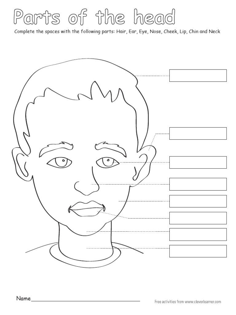 Parts of The Human Head Writing and Coloring Sheet | PDF