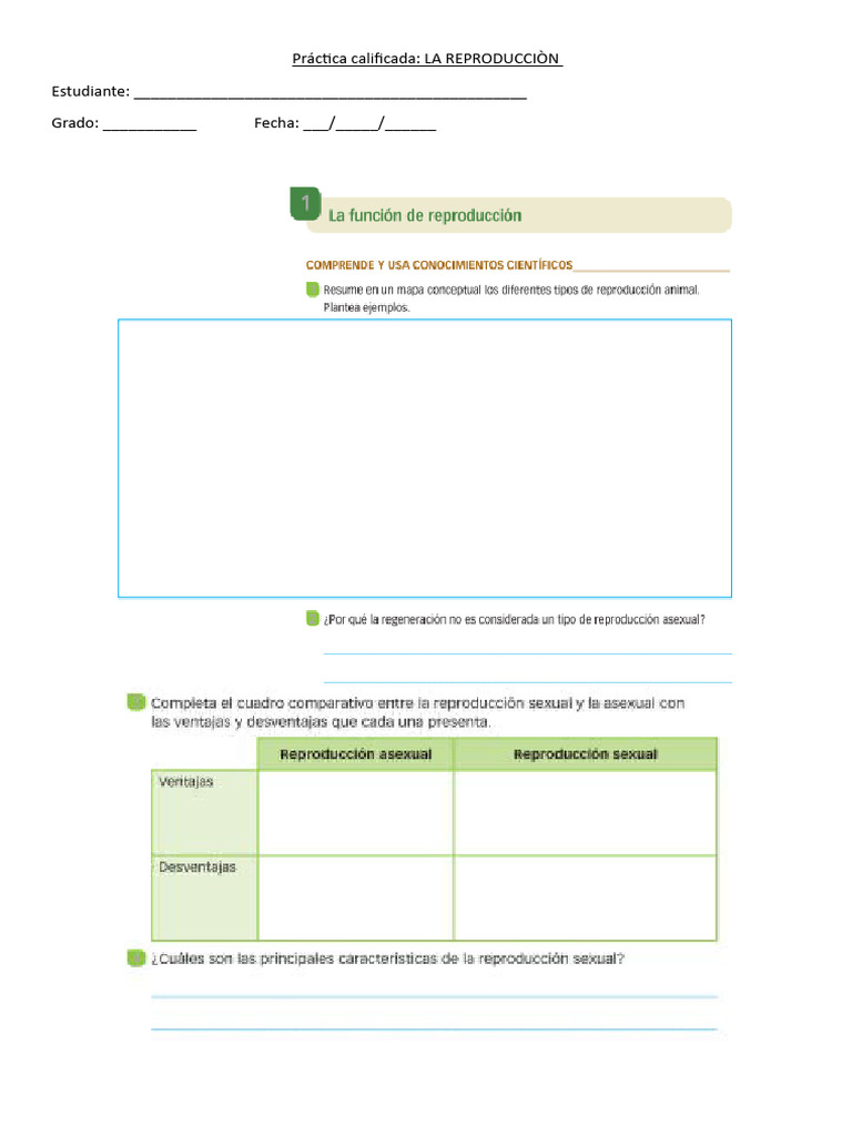 4to - Práctica Calificada | PDF