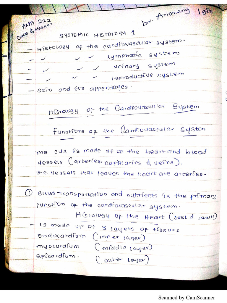 Histology Of Cvs Pdf