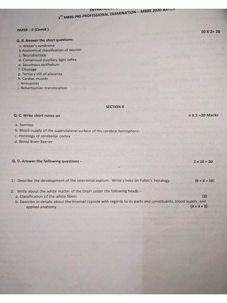 Anatomy Papers 2020 | PDF