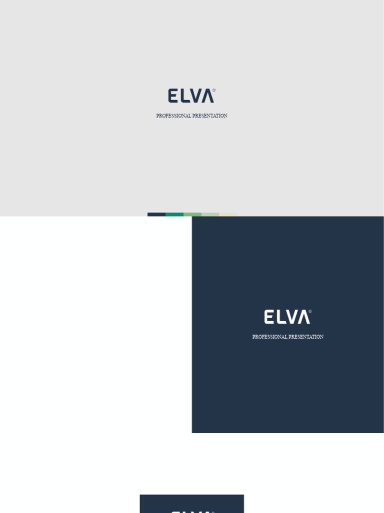 Elva Presentation | PDF