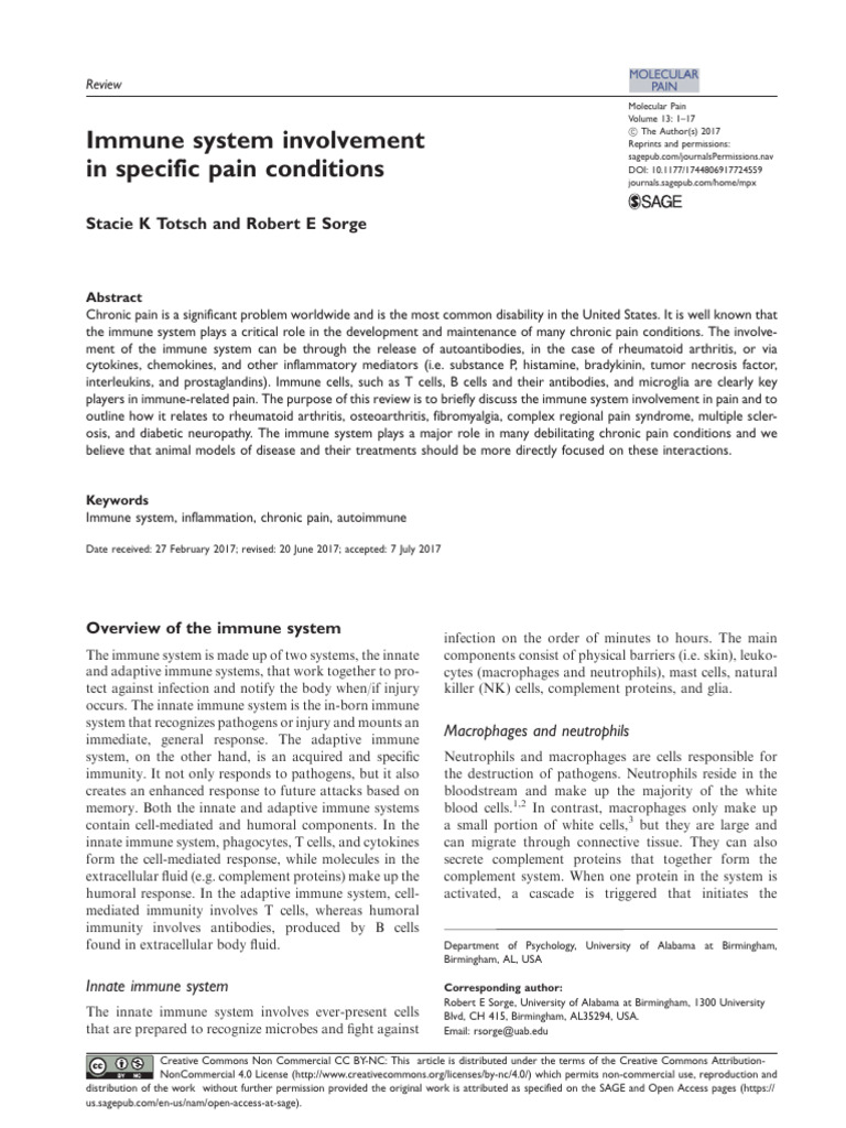 2017 Immune System and Pain | PDF | Immune System | Innate Immune System