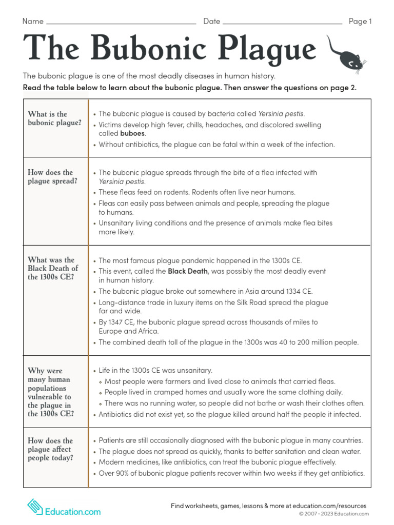 PRESENT The-Bubonic-Plague | PDF | Immunology | Plague (Disease)