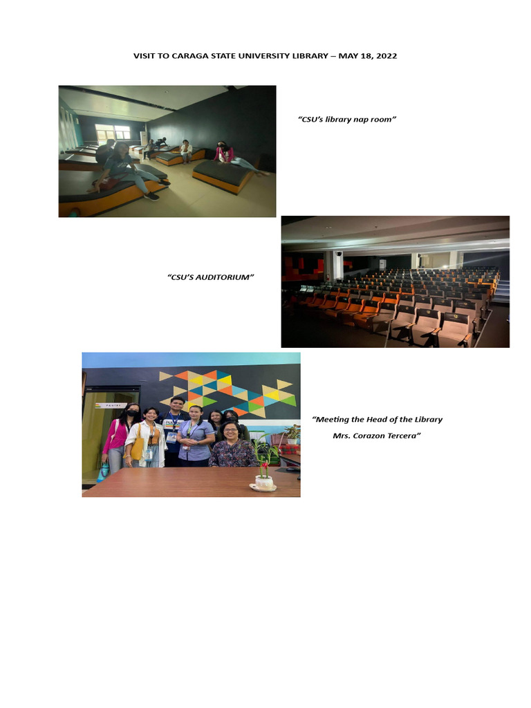 Csu Library Narrative Report | PDF