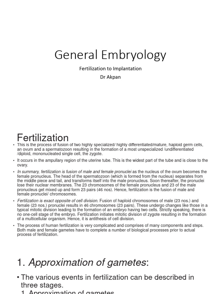 Human Fertilization Process Explained | PDF | Fertilisation | Meiosis