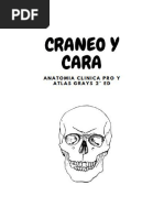 Cabeza Ósea 2 | PDF | Cráneo | Sistema esquelético