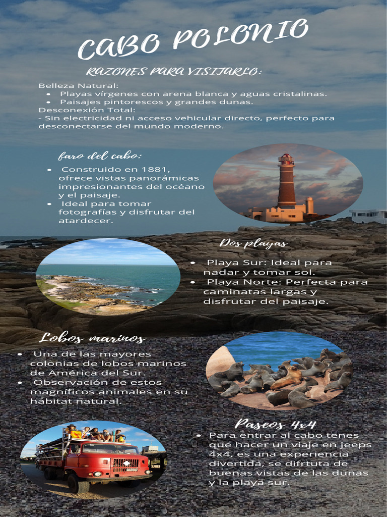 Infografía Turismo Moderno Azul PDF | PDF