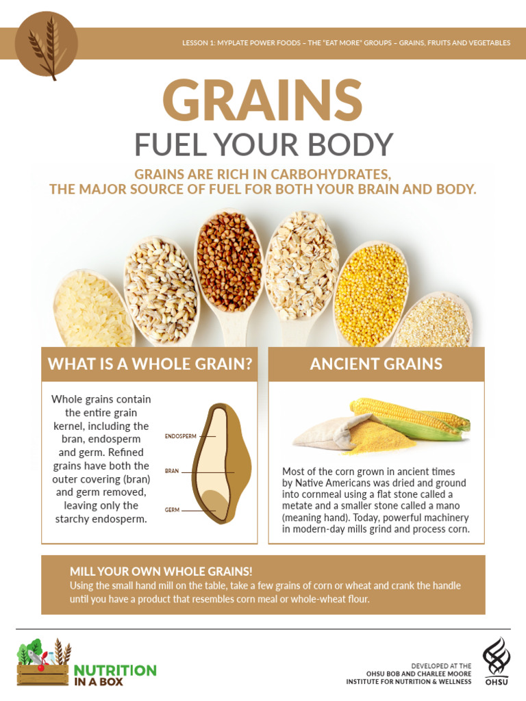 Grains - All | PDF | Whole Grain | Cereals