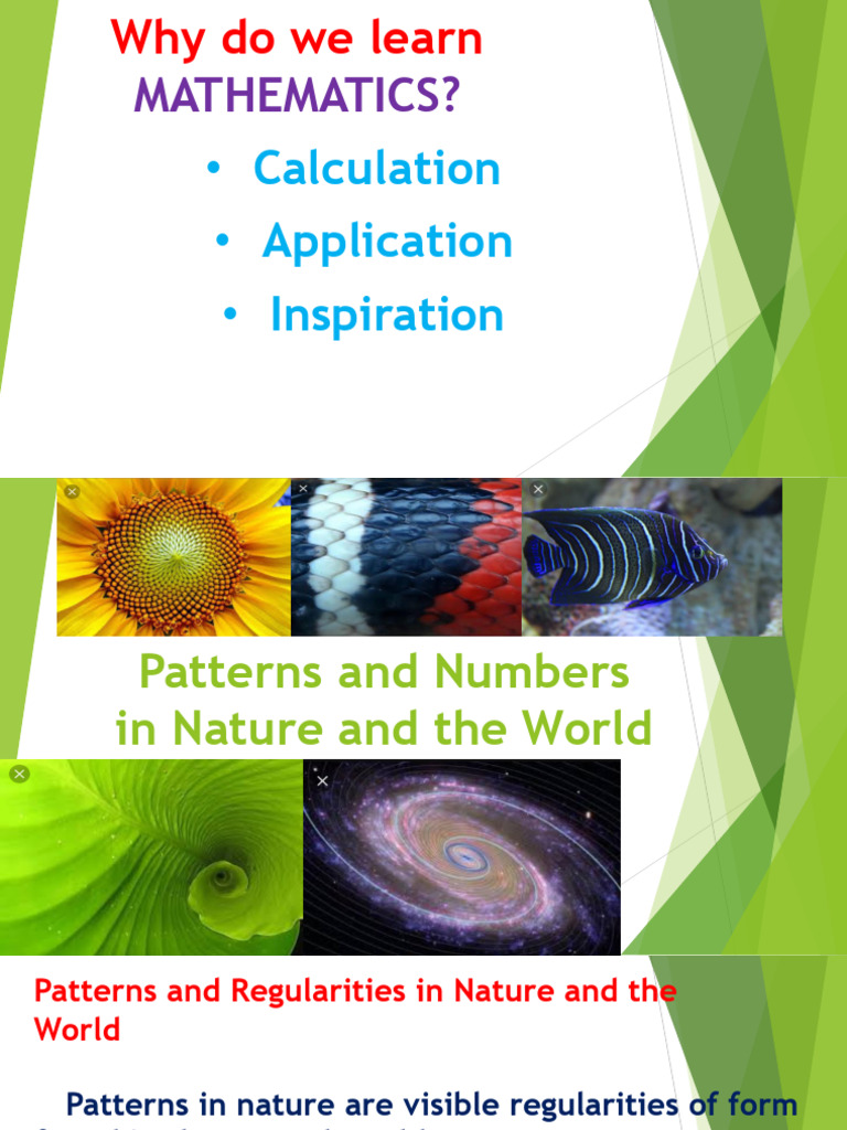 Patterns and Numbers in Nature and The World CH 1 Lecture1 | PDF | Pattern | Fractal