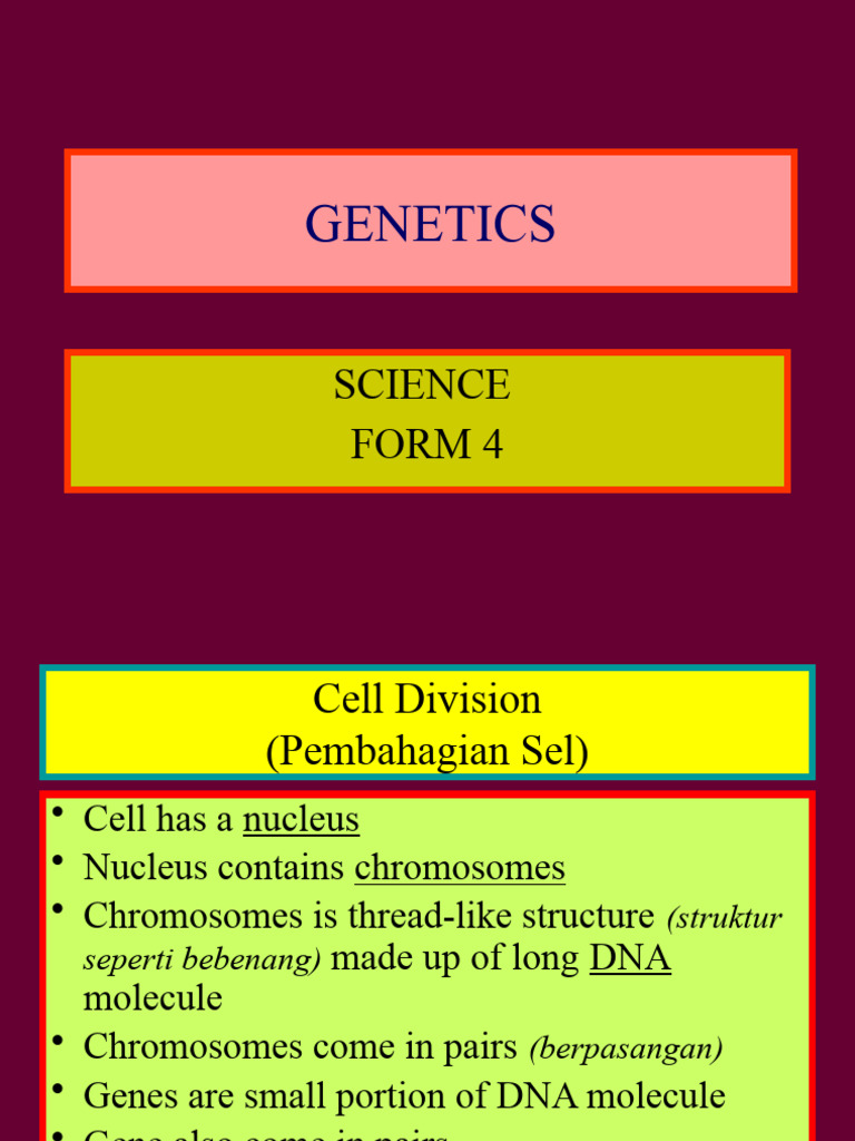 Meiosis and Mitosis in Genetics | PDF | Meiosis | Mitosis
