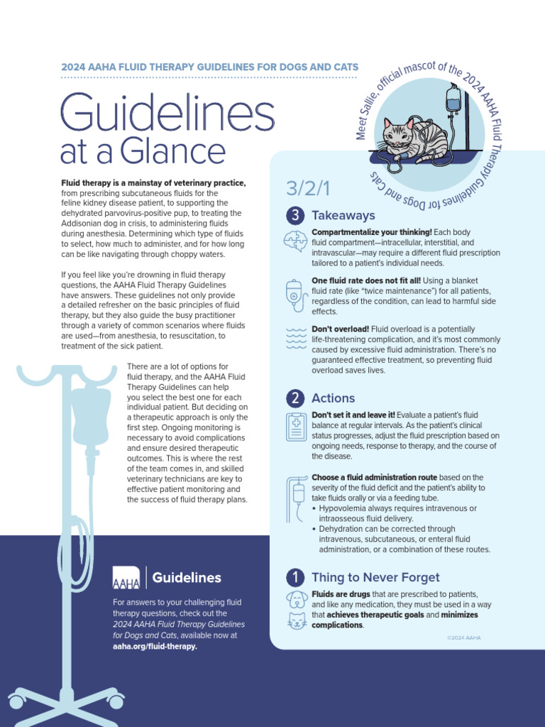 2024 Fluid Therapy Guidelines at A Glance | PDF | Intravenous Therapy ...