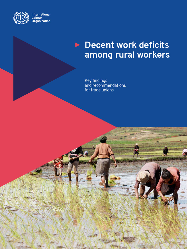 Wcms 850582 | PDF | International Labour Organization | Smallholding