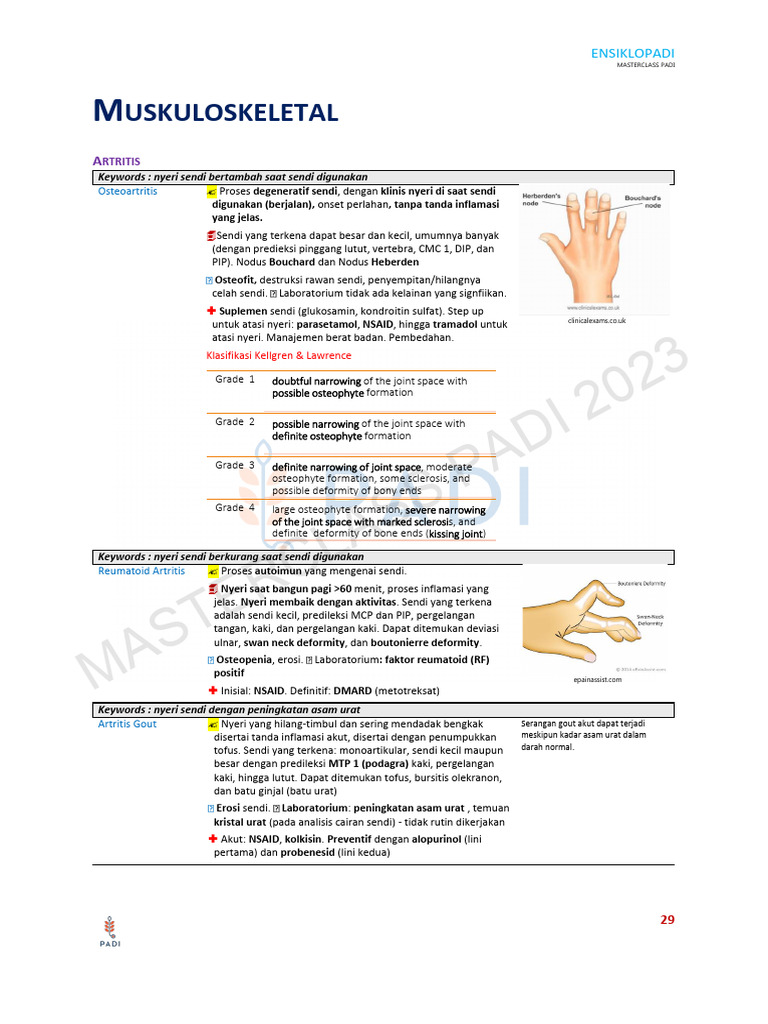 Muskulo - Rhemato Orthopedi | PDF