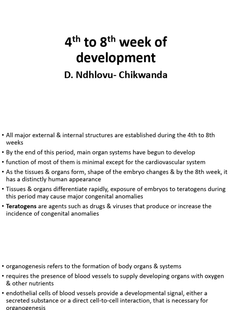 4th To 8th Week of Development | PDF | Morphology (Biology) | Anatomy