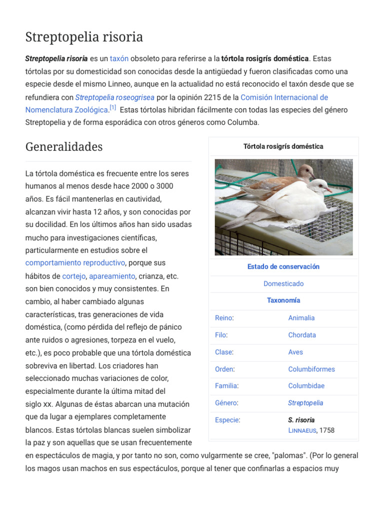 Streptopelia Risoria - Wikipedia, La Enciclopedia Libre | PDF ...