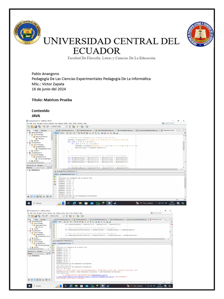 Prueba Matrices Filas | PDF