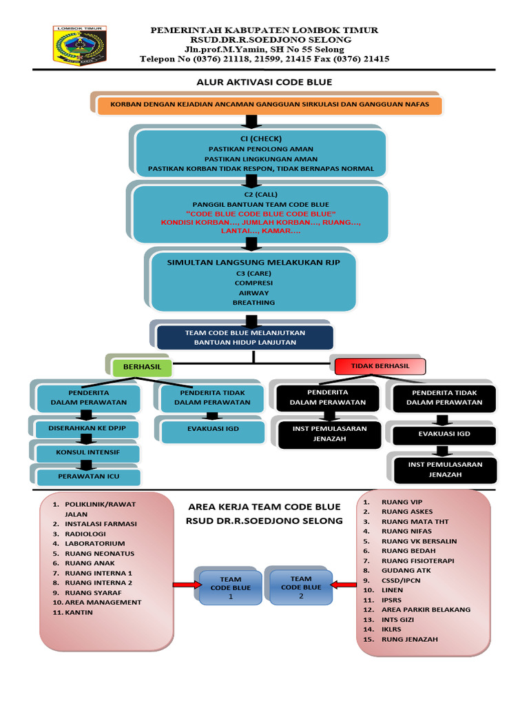 Alur Code Blue | PDF