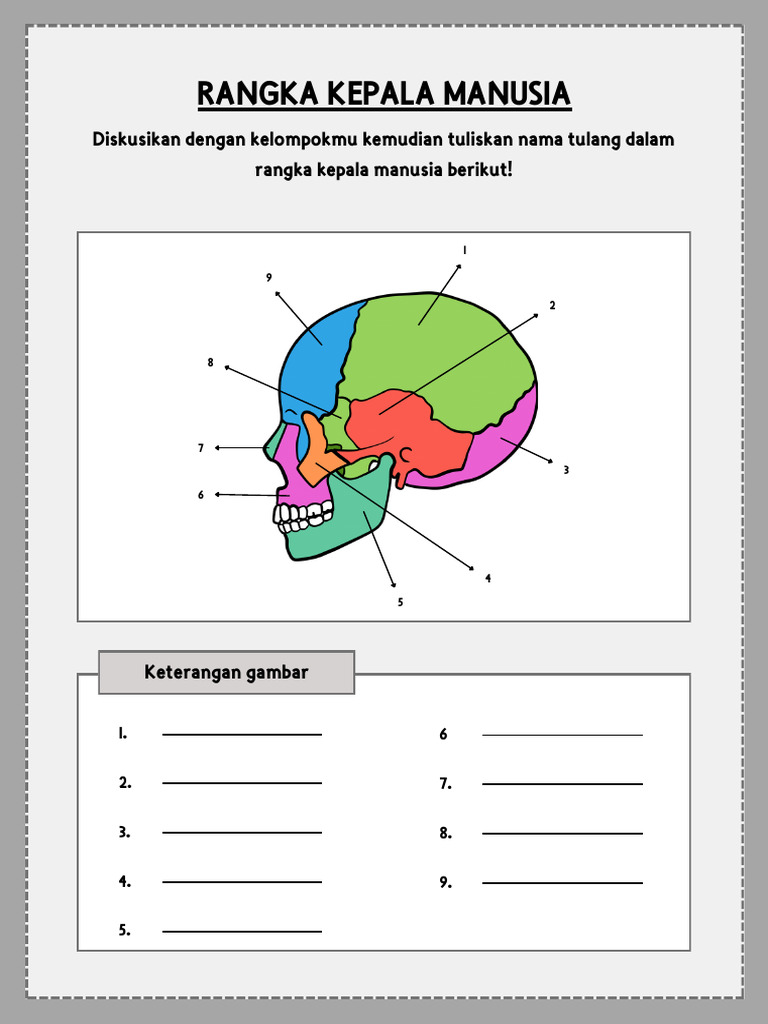 Lembar Kerja Kelompok IPAS Rangka Kepala Ilustratif | PDF