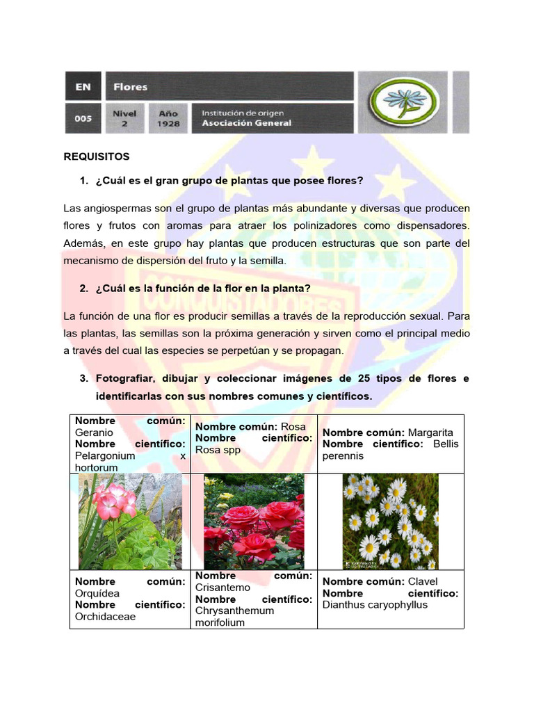Guía de Estudio sobre Flores | PDF | Flores | Biología Celular)