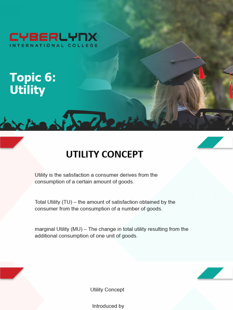 Topic 6 Utility | PDF | Utility | Goods