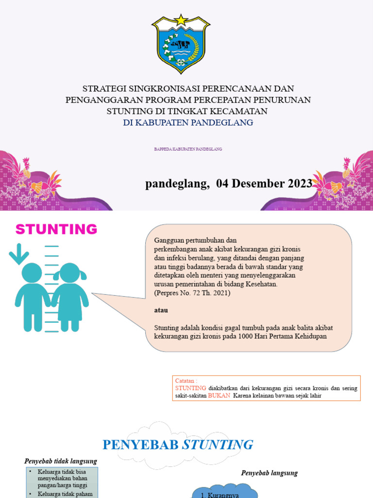 Strategi Singkronisasi Perencanaan Dan Penganggaran Program Percepatan ...