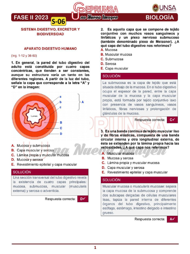Biología P6 - Solucionario | PDF