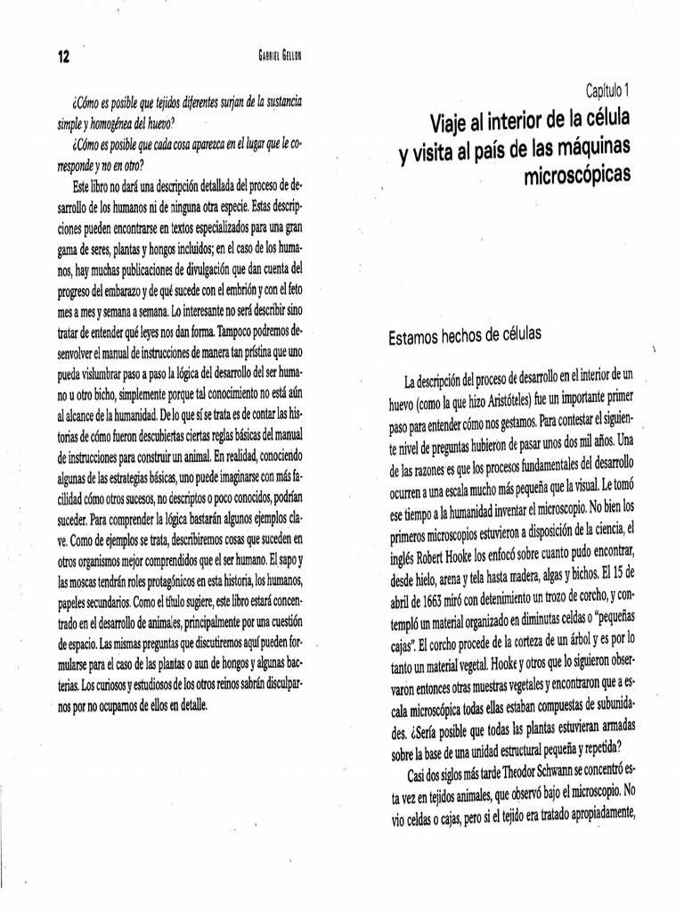 Gellon Cap 1 PDF | PDF