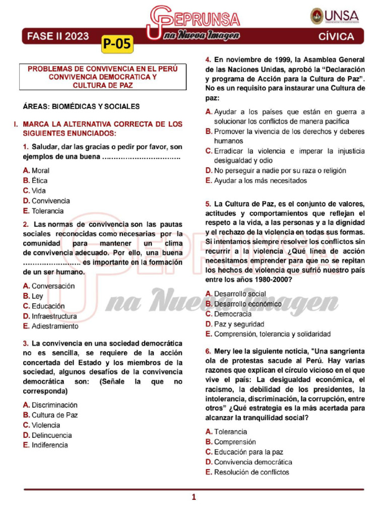 Cívica P5 - Problemas de Convivencia | PDF