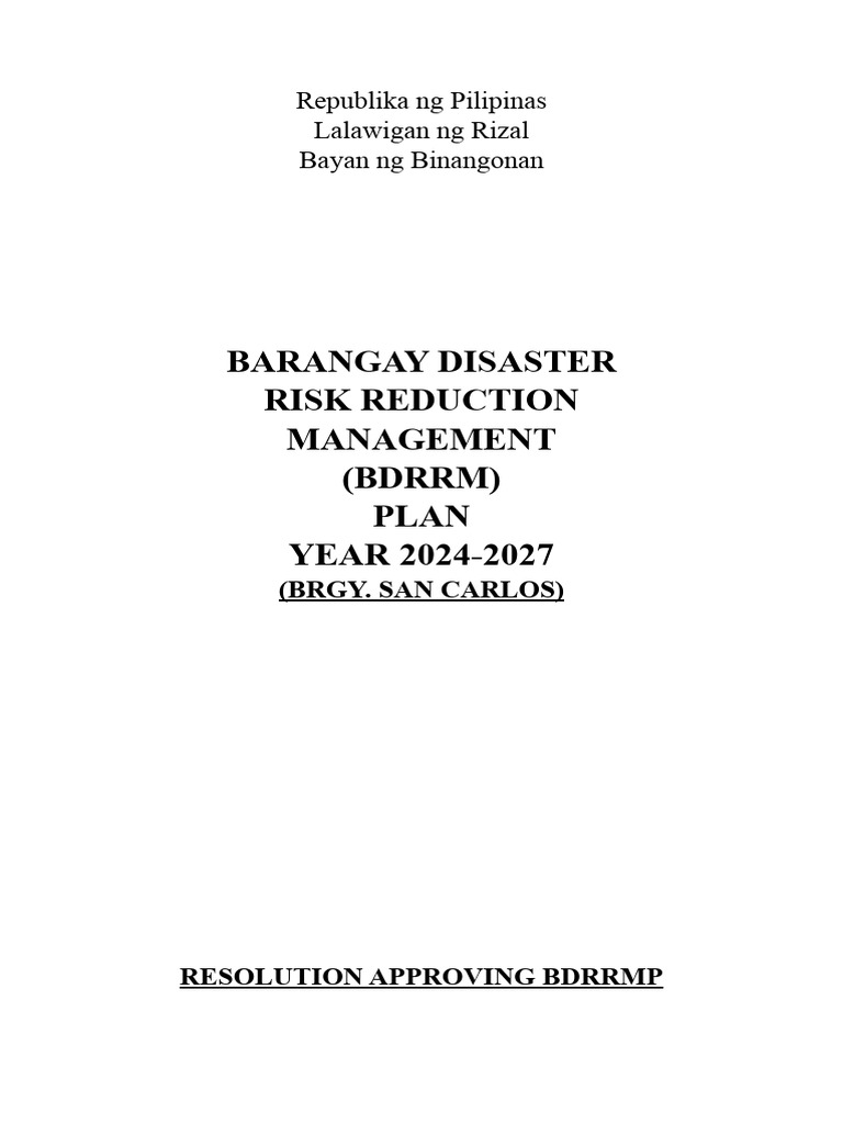 BDRRM Plan San Carlos | PDF