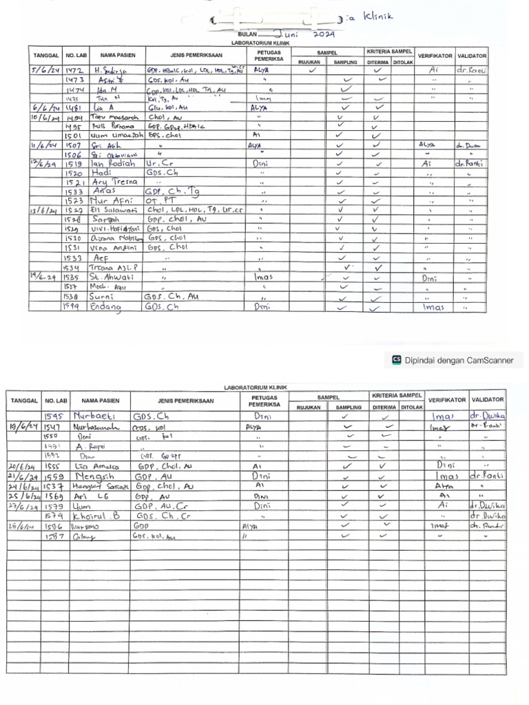 Logbook Pemeriksaan | PDF