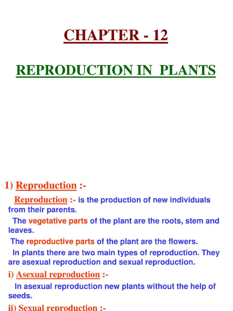 Reproduction in Plants Class 7 | PDF