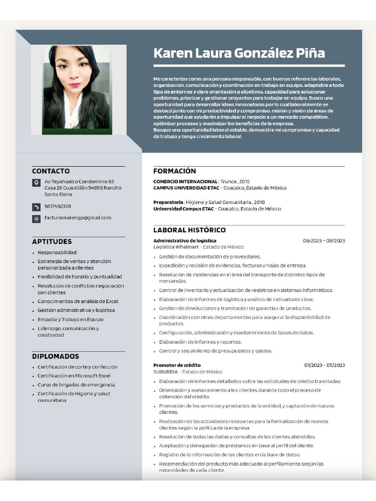 CV Karen Laura Gonzales Luna | PDF