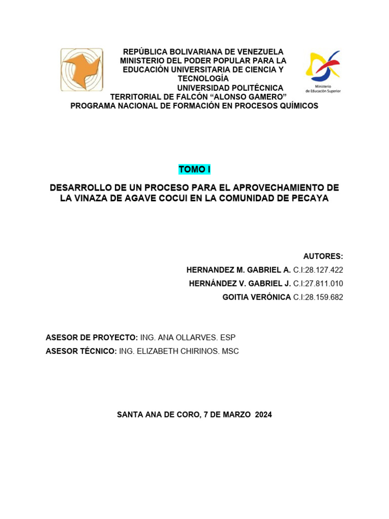 Proyecto Iv 28-04-24 | PDF