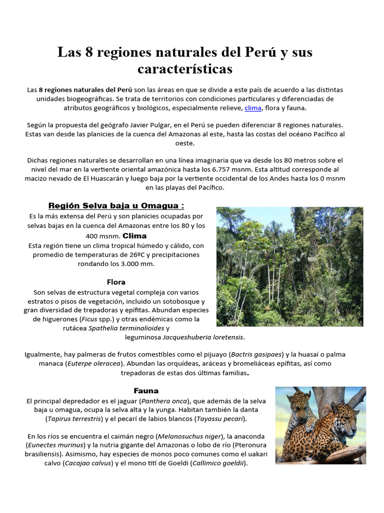 Las 8 Regiones Naturales Del Perú y Sus Características. LUCAS | PDF ...